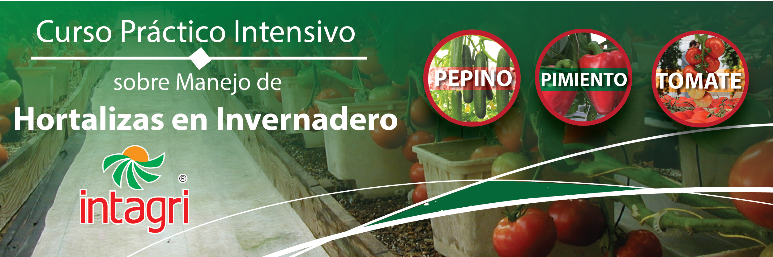 Curso virtual: Teórico sobre Producción de Hortalizas Bajo Invernadero - Inicio | Intagri S.C.